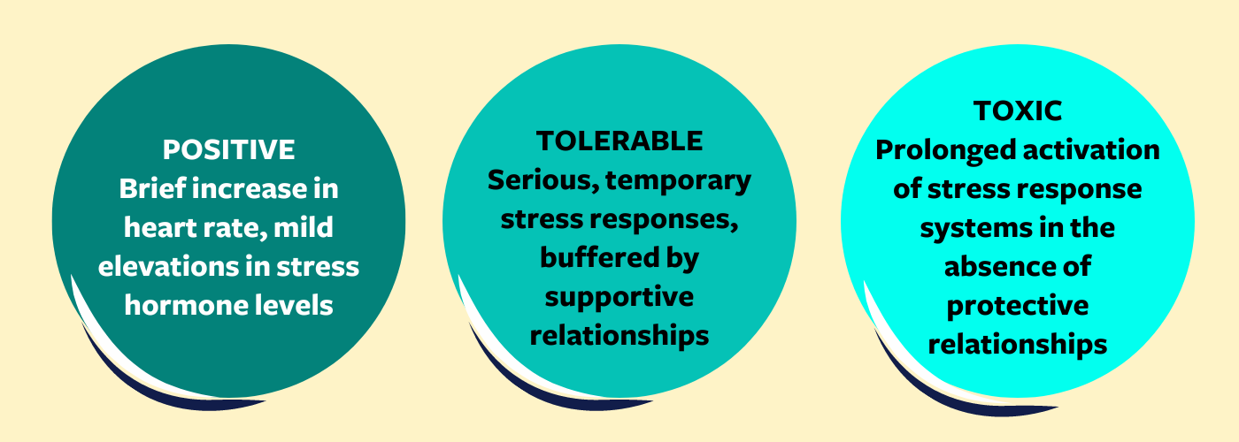 Toxic Stress: Difficult Childhoods Impact Body & Brain - Compass Mark